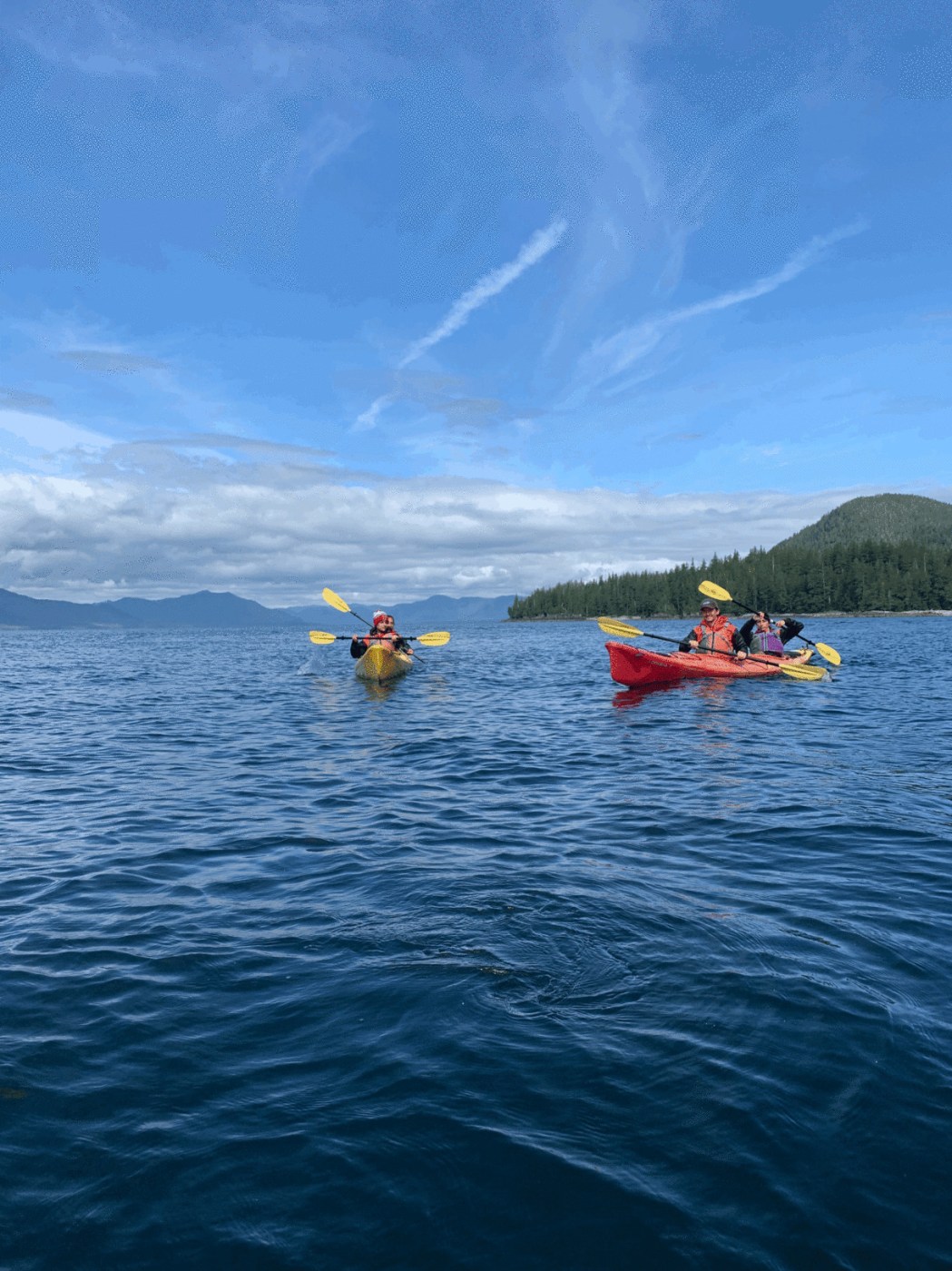 Kayaking Eco Tour Alaska | Ketchikan Kayak Company